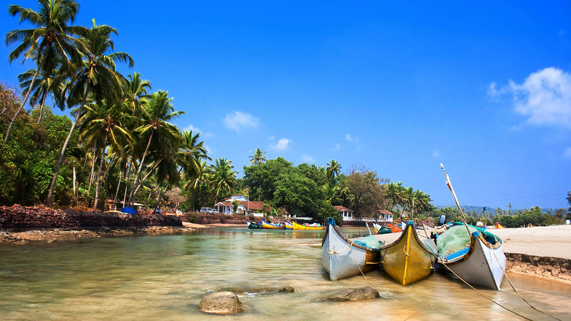 Goa Holidays 2022! Best reasons to come to Goa | Palm Trees Yoga